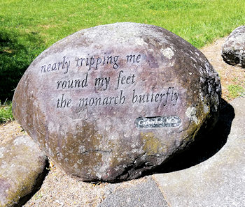 New Zealand November 2019 to January 2020